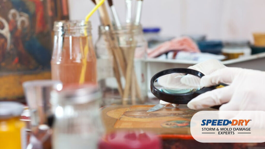 Orlando Mold Lab Testing, Inspection, and Remediation Services